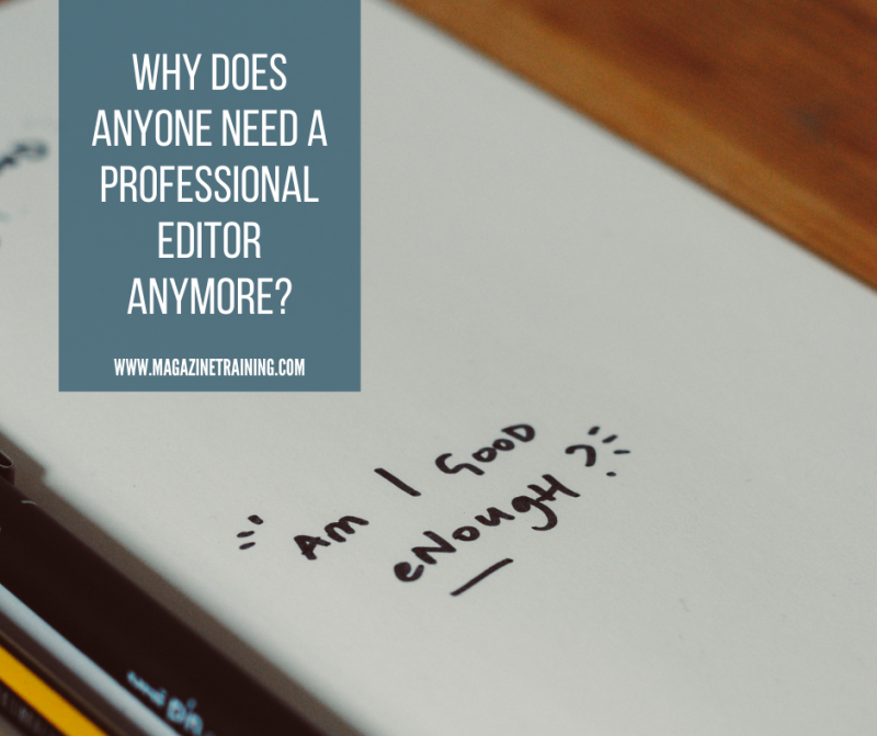 Why does anyone need a professional editor anymore?