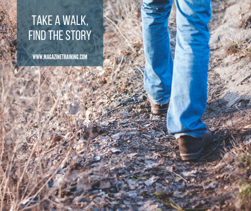 Take a walk, find the story - Magazine Training International