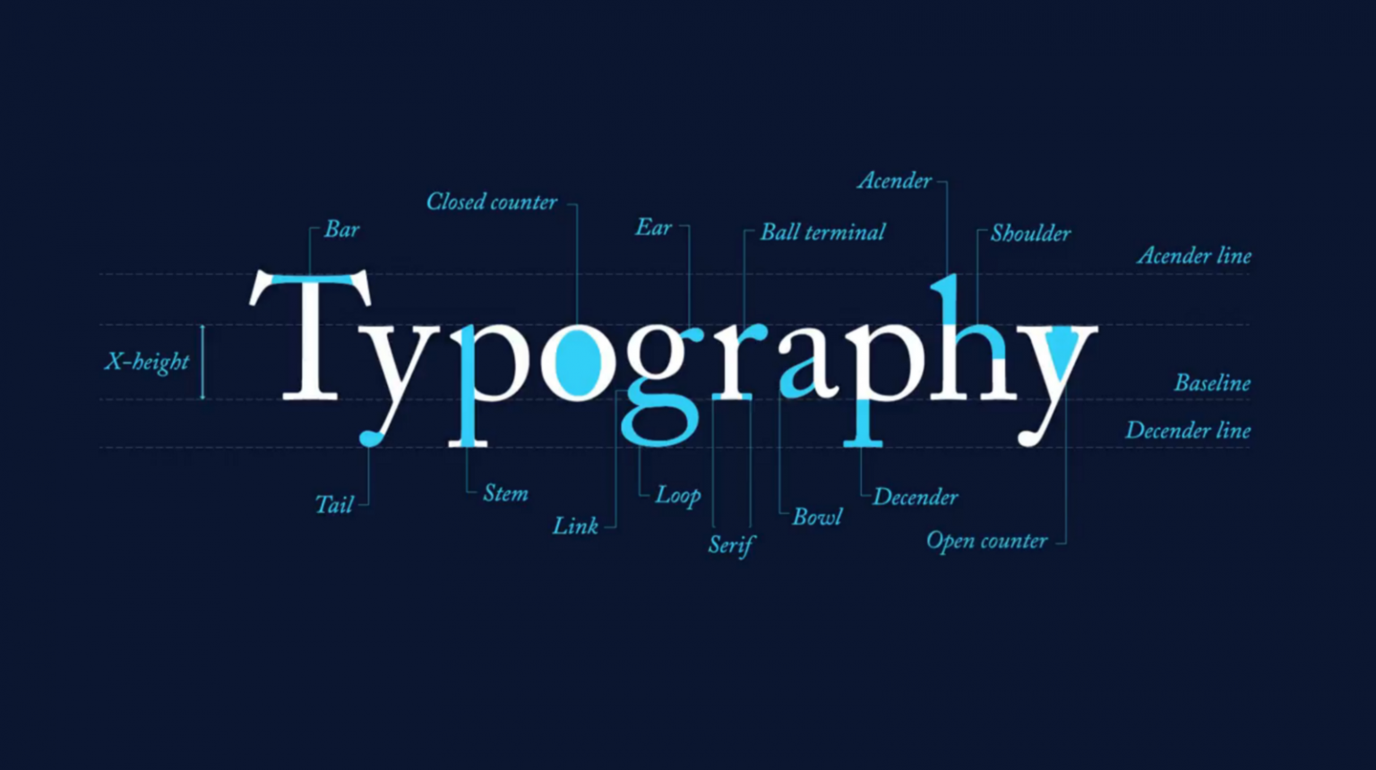 A beautifully illustrated glossary of typographic terms you should know