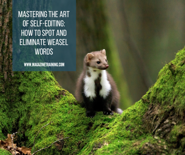 Mastering the art of self-editing: How to spot and eliminate weasel ...